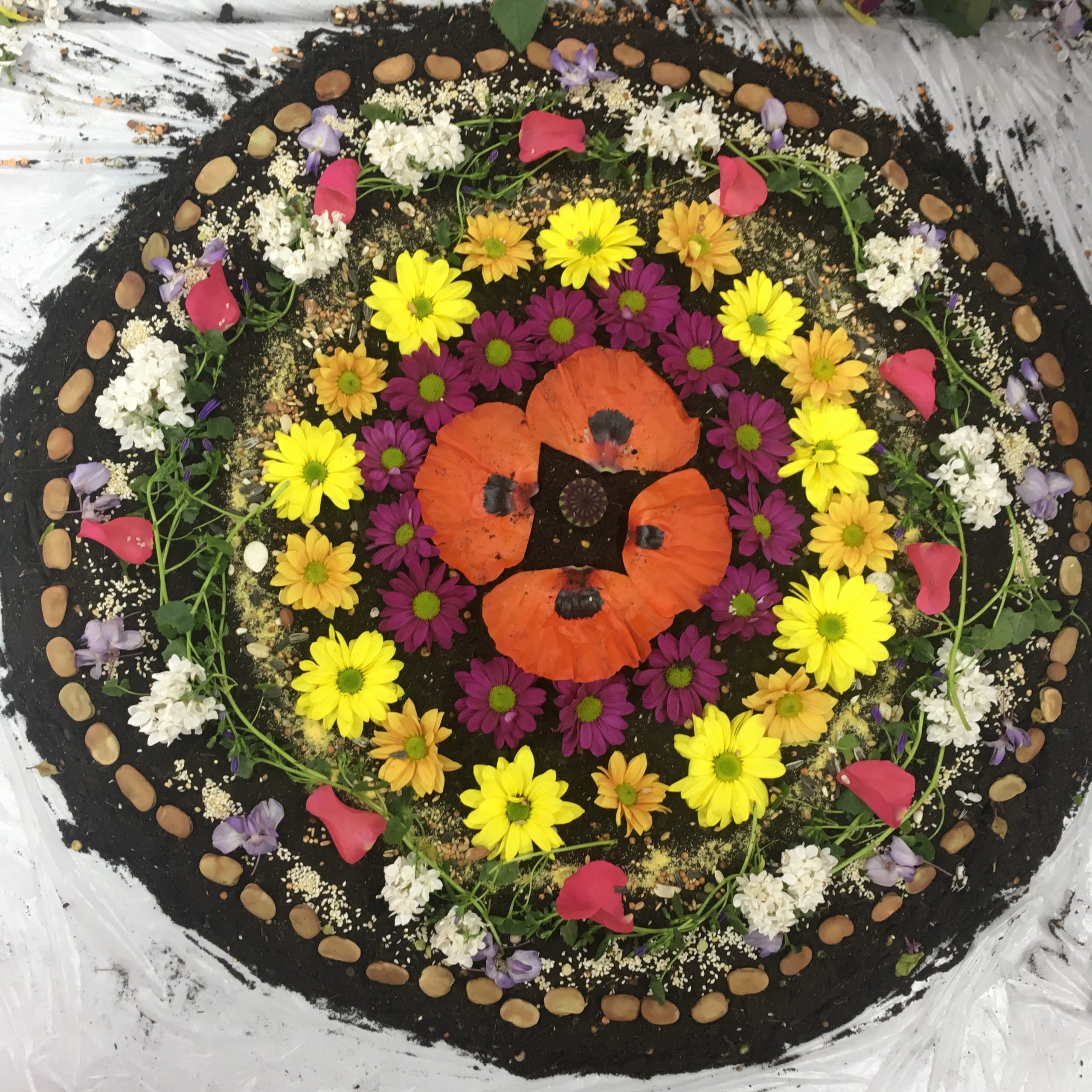 Mandala grupal en tierra - Mandalandia